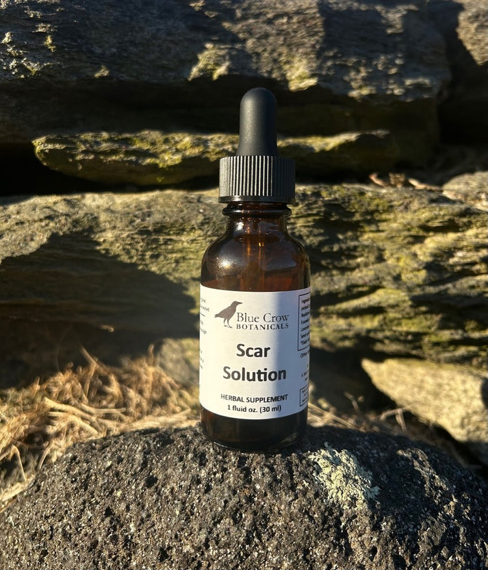 Scar Solution – Sojourns Apothecary Store